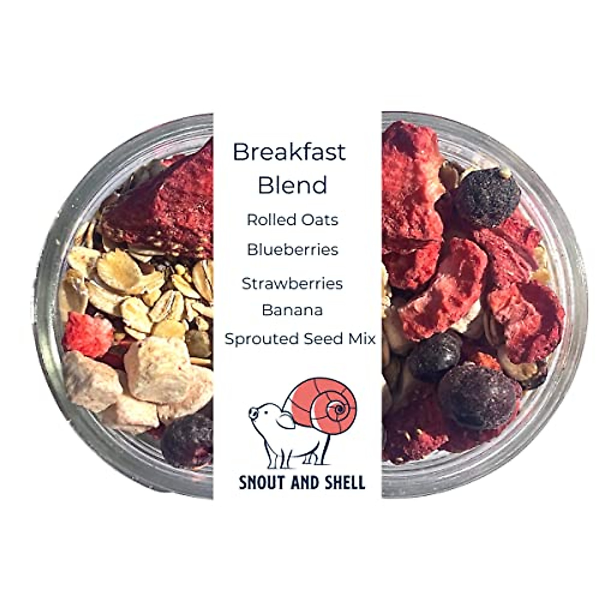 Snout and Shell Fruity Breakfast Blend Hermit Crab Dry Food - High Protein & Nutrient Blend Diet of Rolled Oats, Blueberries, Strawberry, Banana, Sprouted Seeds Mix - Aquatic Pet Snack Treat | 65g