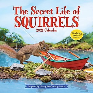 The Secret Life of Squirrels Wall Calendar 2021