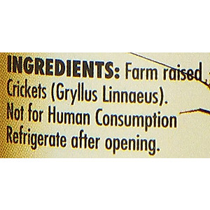 Zoo Med Laboratories SZMZM41 Can O Crickets Pet Food, 1.2-Ounce