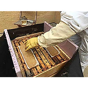 VILLAGE GIFT IMPORTERS Pollen Patty | High Protein Formula | Supplementary Feed for All Levels of Beekeepers