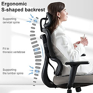 Ergonomic Office Chair - Mesh Office Chair High Back, Rolling Desk Chair, Executive Swivel Chair, Computer Chair with 3D Adjustable Armrest Headrest, 3D Lumbar Support, Blade Wheels