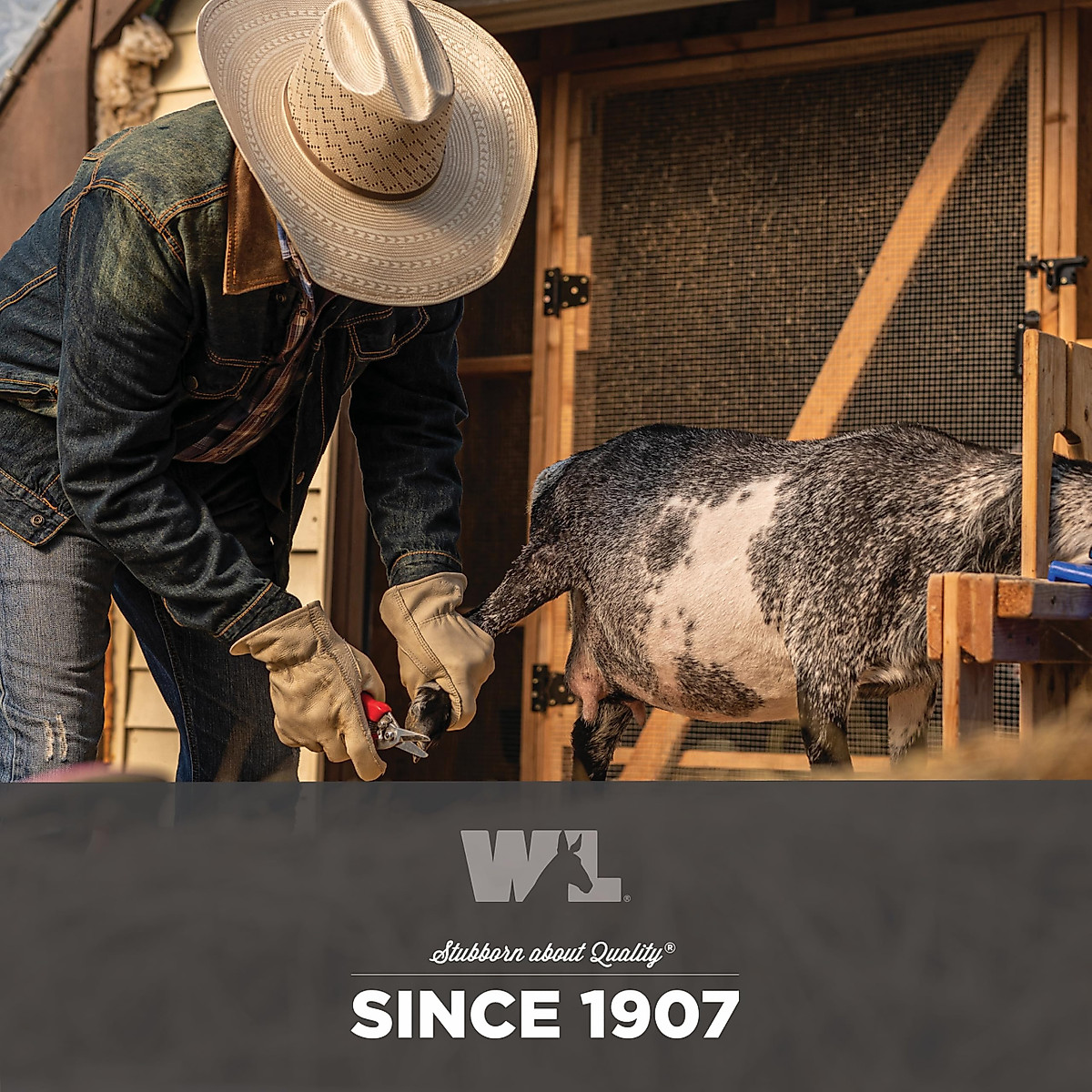 Wells Lamont mens 1130 Work Gloves, White, Large Pack of 1 US