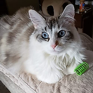 Cat Spring Toys 60 Pack, Colorful Springs Cat Toys Interactive Cat Toy Plastic Coil Spiral Springs Creative Cat Toy to Kill Time and Keep Fit Durable Heavy Plastic Spring for Indoor Cats Kitten Toys