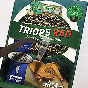 Greenwaterfarm Triops Red Longicaudatus Eggs for Hatching and Culture Suitable to be Pet and Science Project (Pure 200 Eggs)