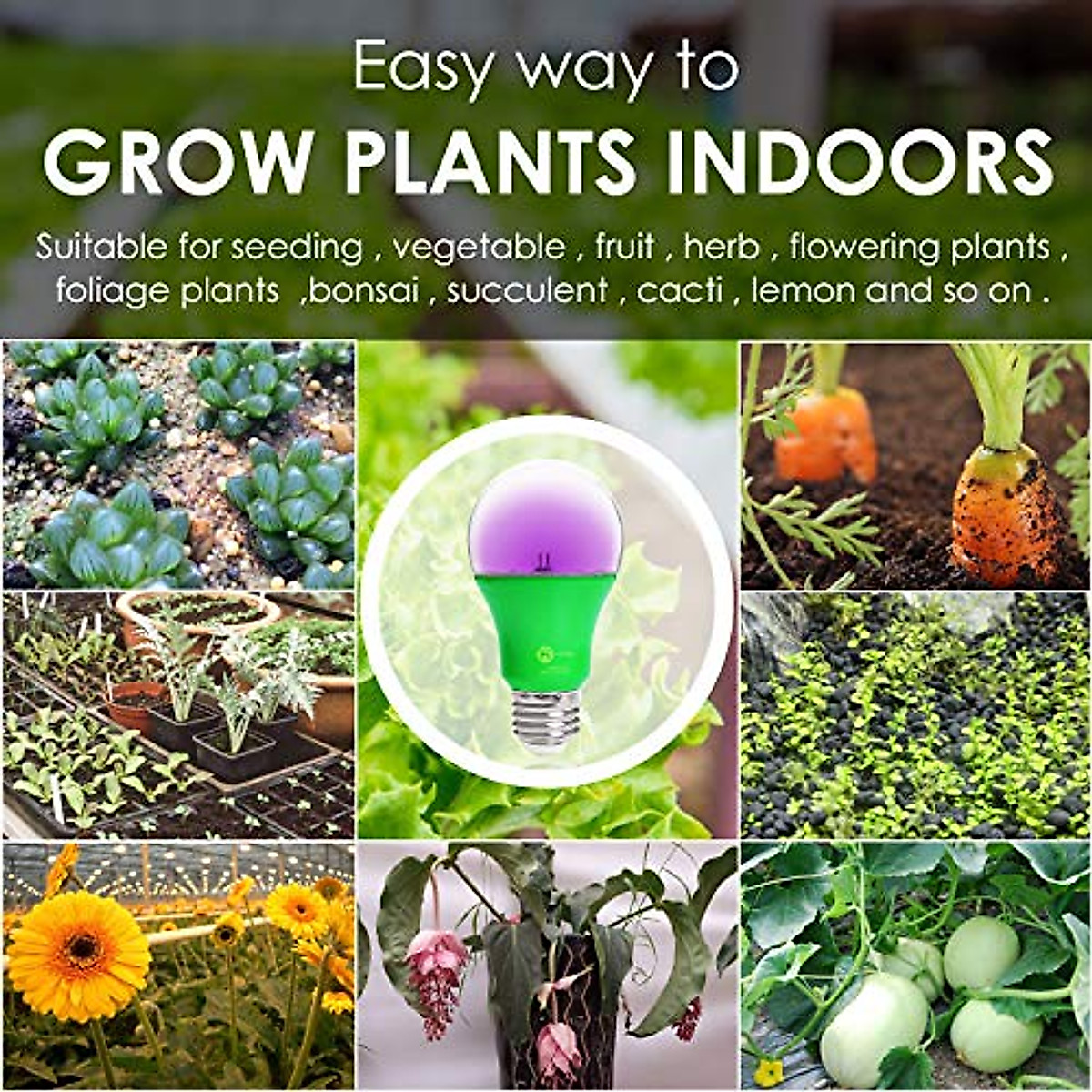 helloify A19 LED Plant Grow Light Bulb, 9W, Equivalent 100W, DIY Horticulture & Indoor Gardening, Growing Light for Indoor Plants, Flowers, Greenhouse, 2 Count, White and Red spectrum(Pink)