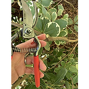 Corona Tools | ClassicCUT ClassicCUT® Branch & Stem Pruning Shears for Gardening | Cuts Branches and Stems up to 1-inch in Diameter | BP 15180