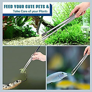 Kitchen Tweezers Tongs for Cooking - 12 Inch - 2 Pack Kitchen tongs Stainless Steel Cooking Tongs- Extra Long Tweezers for BBQ, Grilling, Pet Feeding, Arts and Crafts etc