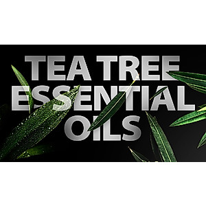 Spar Soap Platinum Bar (4 Ounce), Lavender Tea Tree, Antifungal Properties, For BJJ, MMA, Wrestlers, Grapplers, Men/Women, USA Made Body Soap, For Body Odor, With Lavender, Cassia, Clove