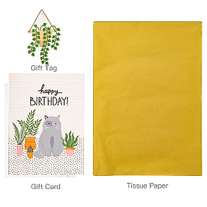 MAYPLUSS 13" Large Gift Bag with Greeting Card and Tissue Paper for 50 Years Birthday Party - Black Gold Foil Design