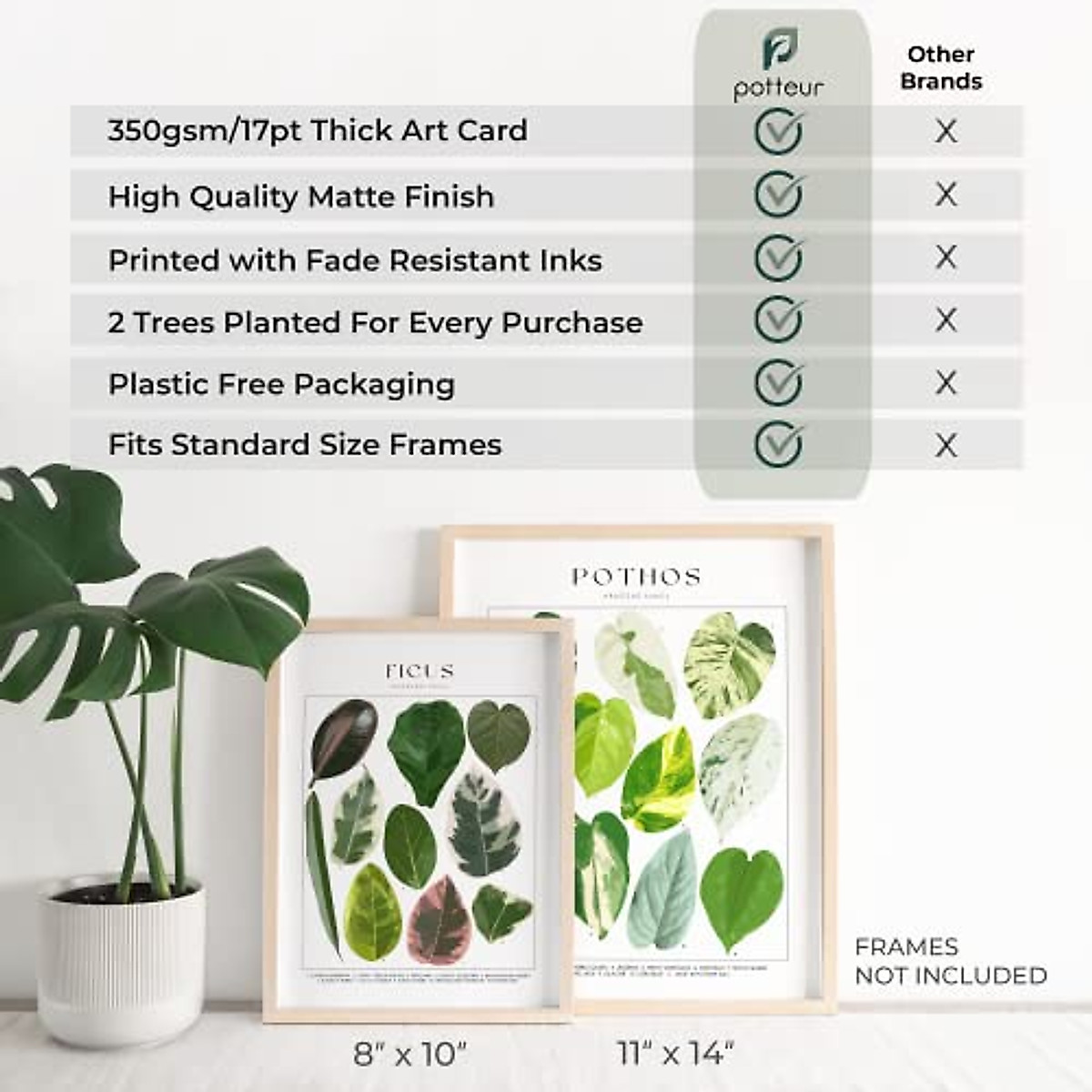 Buy 3 Get 1 Offer - Set of 4 UNFRAMED Plant Poster - Botanical Wall Art - Plant Stuff - Green Wall Art - Plant Wall Art - Plant Art Wall Prints - Plant Prints - Plant Pictures Wall Art - 8x10" (FOLIA)