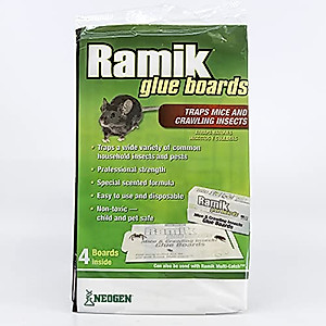 Ramik: 7032766 Glue Rodent Trap - 1 Pack of 4 Traps
