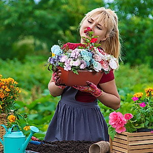 Dandat 24 Pack Window Box Planter Plastic Planter Boxes 17 Inches Vegetable Planters Rectangle Flower Pots with Drainage Holes and Trays for Indoor Outdoor Garden Patio Home Decor (Red)