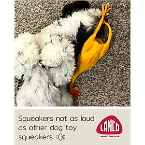 Rubber Chicken Dog Toys - Natural Rubber (Latex) - Lead-Free Chemical-Free - Handpainted - Soft Unstuffed Squeaky (Medium)