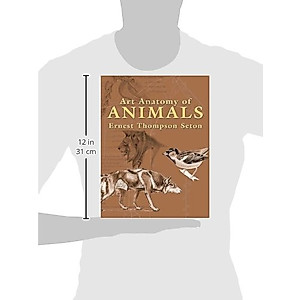 Art Anatomy of Animals (Dover Anatomy for Artists)