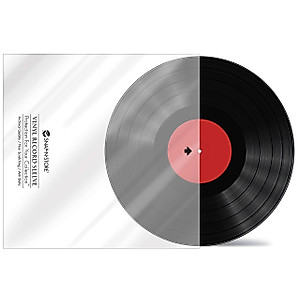 Snap-N-Store Vinyl Records Sleeves, Pack of 25 (SNS02073)
