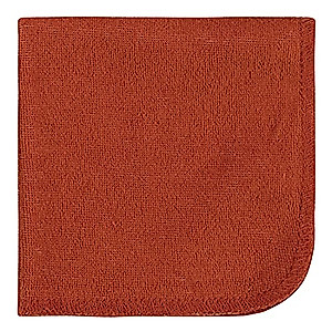 Gerber Baby 10-Pack Terry Washcloths, Blue Fox, One Size