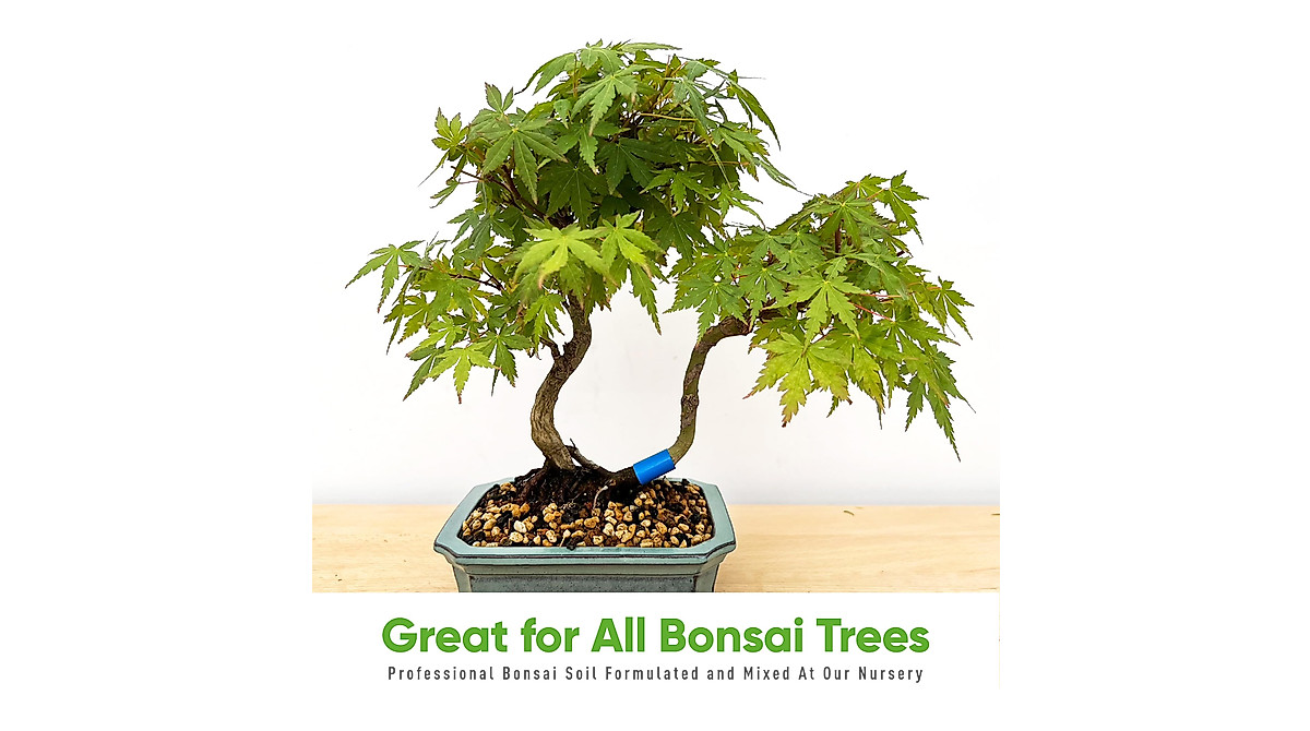 Bonsai Outlet All-Purpose Bonsai Soil Mix - Ready to Use, 2.5 Gallons