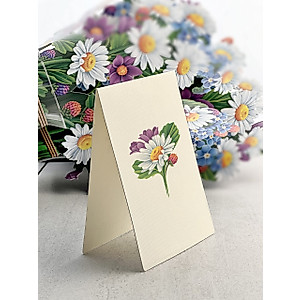 Freshcut Paper Pop Up Cards, Paper Flower Bouquet 3D Popup Greeting Cards with Note Card & Envelope, Birthday Card, Anniversary, Get Well Gifts for Women, 12" Field of Daisies