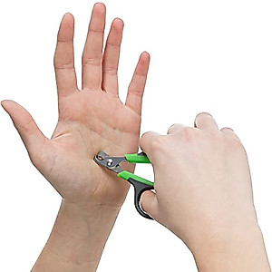 TRIXIE Pet Grooming Nail Clippers, for Small Dogs, Cats, Small Animals, and Birds, 3" (8cm)