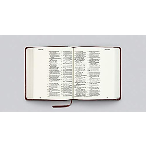 ESV Journaling Bible (TruTone, Brown, Mosaic Cross Design)
