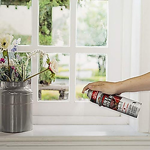 Spectracide Ant Shield Insect Killer Aerosol, 15-Ounce, Case Pack of 12