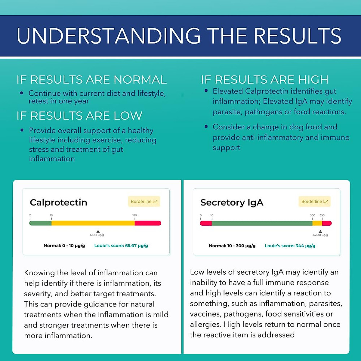 Innovative Pet Lab at-Home Test Kit- Gut Health Evaluation and Expert Panel Insights- Ideal for Dogs and Cats- Pet Essential for Digestive Health