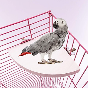 Bird Perch Platform Stand，Wood Perch Bird Platform Parrot Stand Playground Cage Accessories for Small Anminals Rat Hamster Gerbil Rat Mouse Lovebird Finches Conure Budgie Exercise Toy (Semicircle)