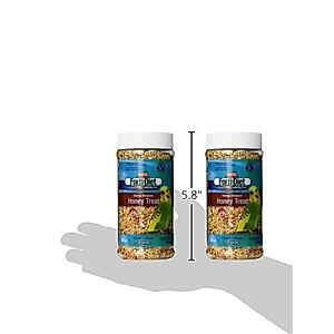 Kaytee Forti Diet Pro Health Orange Blossom Honey Bird Treats for Parakeets, 10-Ounce - 2 Pack