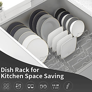 YYP Small Dish Drying Rack Expandable Dish Drying Rack Over The Sink, Plate Organizer for Cabinet or Countertop, Premium 304 Stainless Steel, Rustproof, for Kitchen, Small Space, RV