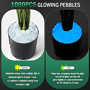 Glow in The Dark Rocks Outdoor Garden Decoration Stones, 1000 PCS Glow Pebbles Diamond Shape Luminous Stones for Outside Patio Yard Fish Tank Flower Bed Vase Potted Plant Decoration (White)