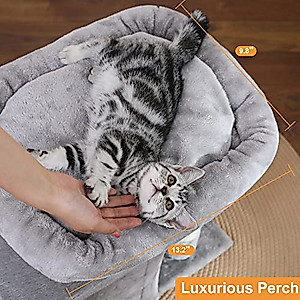 LOUSCIPETS Cat Tree Scratching Post for Indoor Cats, 20-inch Cat Condo with Platform, Cat Tower Cat Furniture Activity Center Play House Grey for Kittens, M Size