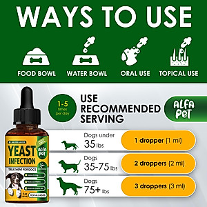 Yeast Infection Treatment for Dogs • Dog Yeast Infection Treatment in Drops • Solution for Dog Ear Yeast Infection, Irritation & Allergies • Best Itchy Skin Relief for Dogs • Herbal Ingredients • 2 Oz