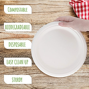 brheez 10 in. Disposable Plates Paper Plates Alternative Compostable Plates Heavy Duty [Pack of 60] Eco-Friendly 100% Natural Sugarcane Bagasse Fiber Biodegradable