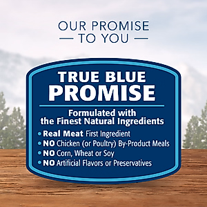 Blue Buffalo Wilderness High Protein Natural Adult Wet Dog Food Plus Wholesome Grains, Chicken & Salmon Grill 12.5-oz Cans (Pack of 12)