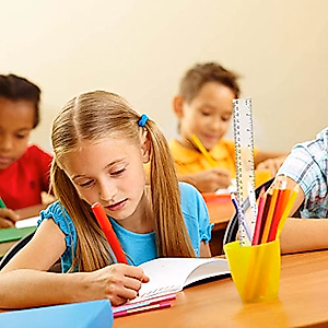 Hegebeck 2 Pack Clear Plastic Ruler 8 Inch Acrylicc Straight Ruler Flexible Ruler with Inches and Metric Measuring Tool for School Learning Drawing