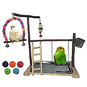 Bird Playground Parrot Playstand Parakeet Gym Playpen Cockatiel Play Stand Wood Perch Exercise Activity Center Ladders Feeder Cups Cage Accessories Swing Chew Toys for Cockatoo Budgie Lovebird Finch