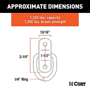 CURT 83732 1 x 1-1/4-Inch Surface-Mounted Stainless Steel Trailer D-Ring Tie Down Anchor, 1,200 lbs Capacity
