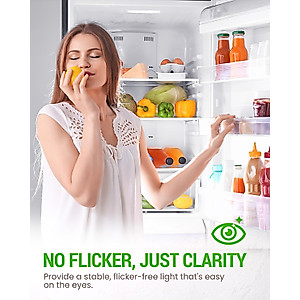 TobeBright T6.5 LED Exit Sign Light Bulbs,2W Refrigerator Light Bulb,20W T6.5 120V Intermediate Base E17 Clear Appliance Bulb Equivalent,for Refrigerator Freezer,Daylight 6000K(2-Pack)