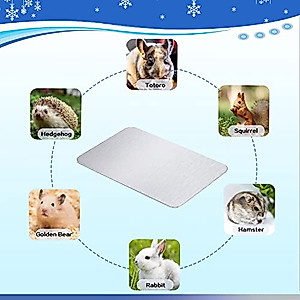 FIPASEN Rabbit Cooling Pad, 11.8x7.9 in Hamster Cooling Mat Pet Cool Plate for Rabbit Bunny Hamster Guinea Pig & Other Small Pets Stay Cool This Summer - Bite Resistance Pet Cooling Pad Ice Bed