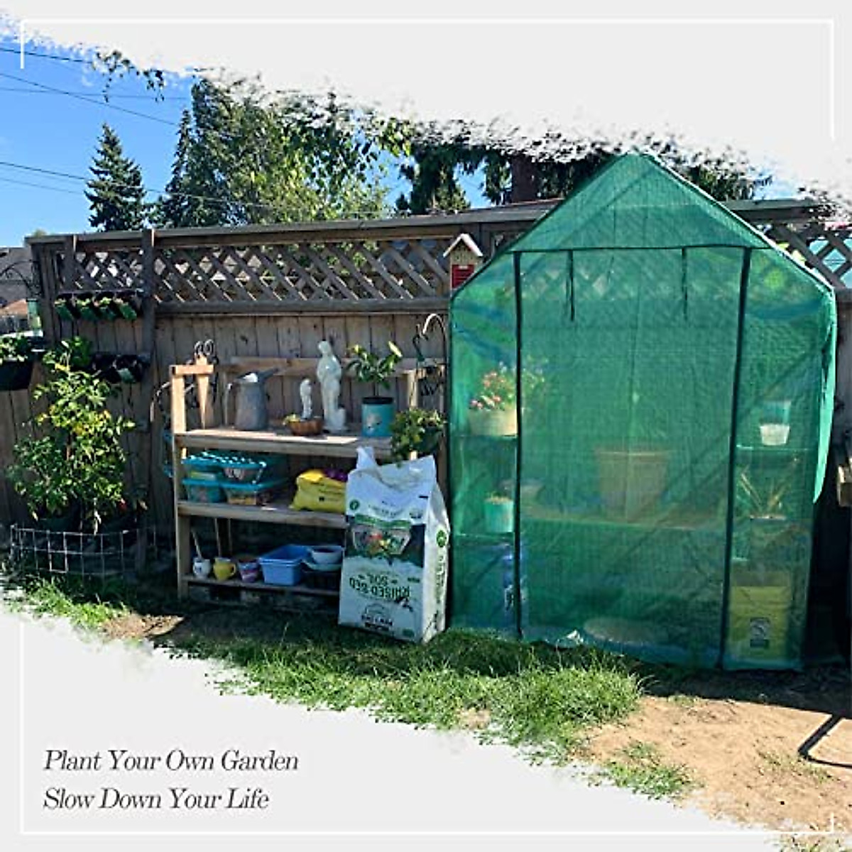 KOKSRY Mini Greenhouse,Greenhouses for Outdoors,Portable Walk in Green House for Garden Plants That Need Frost Protection and Away from Pests, Animals(56"x30"x76")-Green