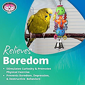 Super Bird Creations SB1083 Binky Bop Bird Toy, Medium Bird Size, 7.5" x 1.5"