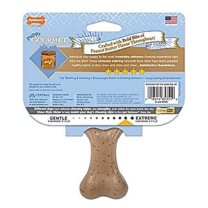 Nylabone Dog, Puppy Gourmet Style Strong Chew Toy Wishbone Peanut Butter Small/Regular (1 Count)