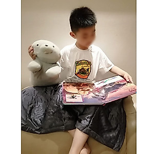 Cozysilk Baby Soft Silk Blanket - 100% Mulberry Silk On One Layer with Minky Plush Dot Blanket Backing - Reversible Double Layer, Gift for Girls/Boys Best for Summer (28 x 40 inch, Dark Grey)