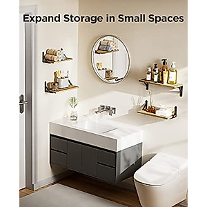 AMADA HOMEFURNISHING Floating Shelves