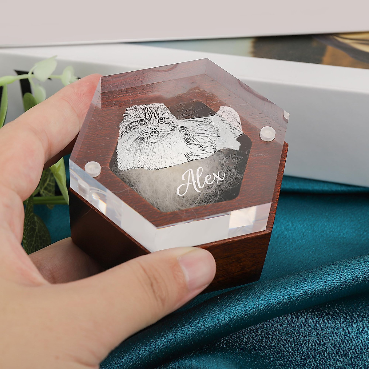 Personalized Pet Hair Keepsake Box with Portrait for Dog Cat Fur, Custom Photo Dog Keepsake Memorial Box, Engraved Wood Memorial Storage Box for Dog and Cat Ashes, Loss Sympathy Gifts for Pet Lovers