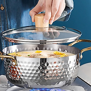 Vaguelly Small Stainless Double Handle Pot Big Pot Ramen Pot Korean Copper Pot Korea Ramen Pot Pan with Lid Korean Ramen Noodle Pot Korean Pot for Ramen Instant Noodle Pot Steel Shin Ramen