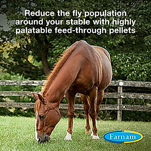 Farnam SimpliFly Feed Through Fly Control for Horses, Breaks the Fly Life Cycle, Pellets, 3.75 Pound Bucket, 60 Day Supply for One Horse