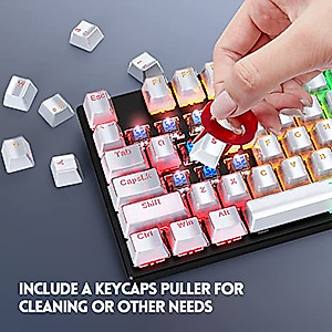 Pudding Keycaps-RisoPhy Double Shot PBT Keycap Set for Mechanical Keyboard,OEM Profile with Keycap Puller,Compatible with 104 Keys Full Size,80%,75%,60% Percent Keyboard-Crystal