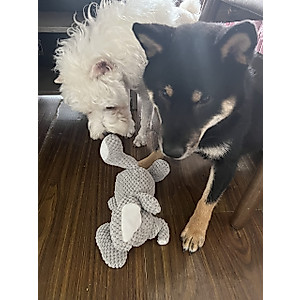 CIXOXIZ Squeaky Dog Toys,Durable Stuffed Pet Toys,Stuffed Pet Toy,Plush Corduroy Dog Toy,Elephant Squeaky Plush Dog Toy, Durable Plush Dog Toy,Chew Guard Toy,Dog Chew Toys,Cotton Rope Dog Toy