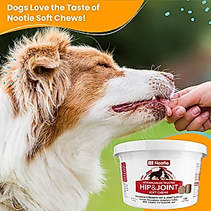 Nootie Maximum Strength Hip & Joint Soft Chews for Dogs - 120 Count
